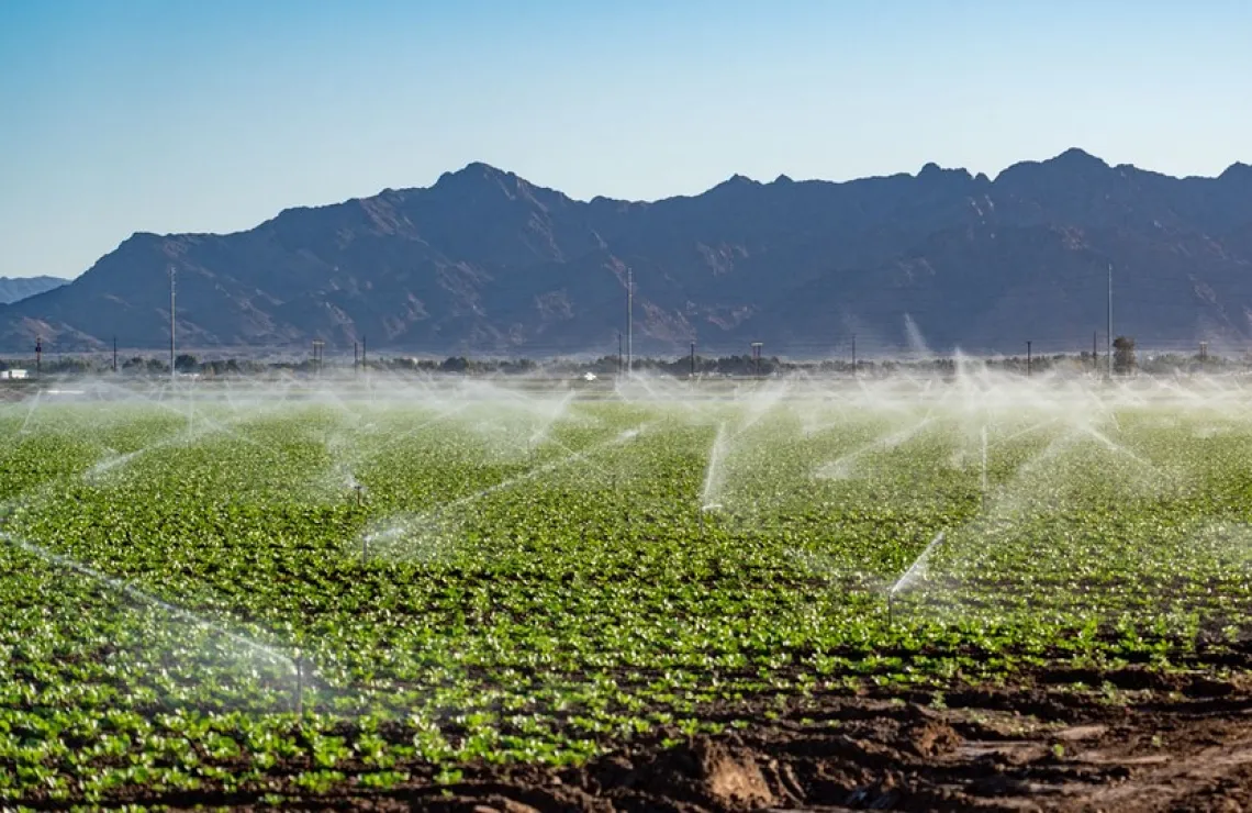 The University of Arizona Yuma Receives USDA Grant to Build the Next ...