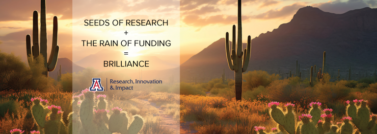 Research Development Services (RDS) | UArizona Research, Innovation ...
